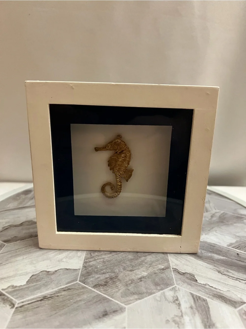 Source Unknown | Accents | Framed Seahorse Shadow Box Coastal Nautical ...